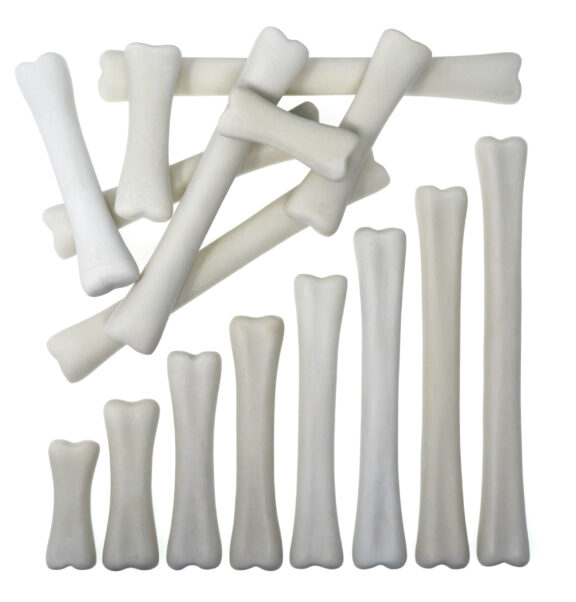 Dinosaur Bones Match and Measure Set - Yellow Door